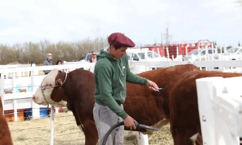 Se viene la 44° Exposición Rural de Choele Choel 2024 - Reporter Patagonia